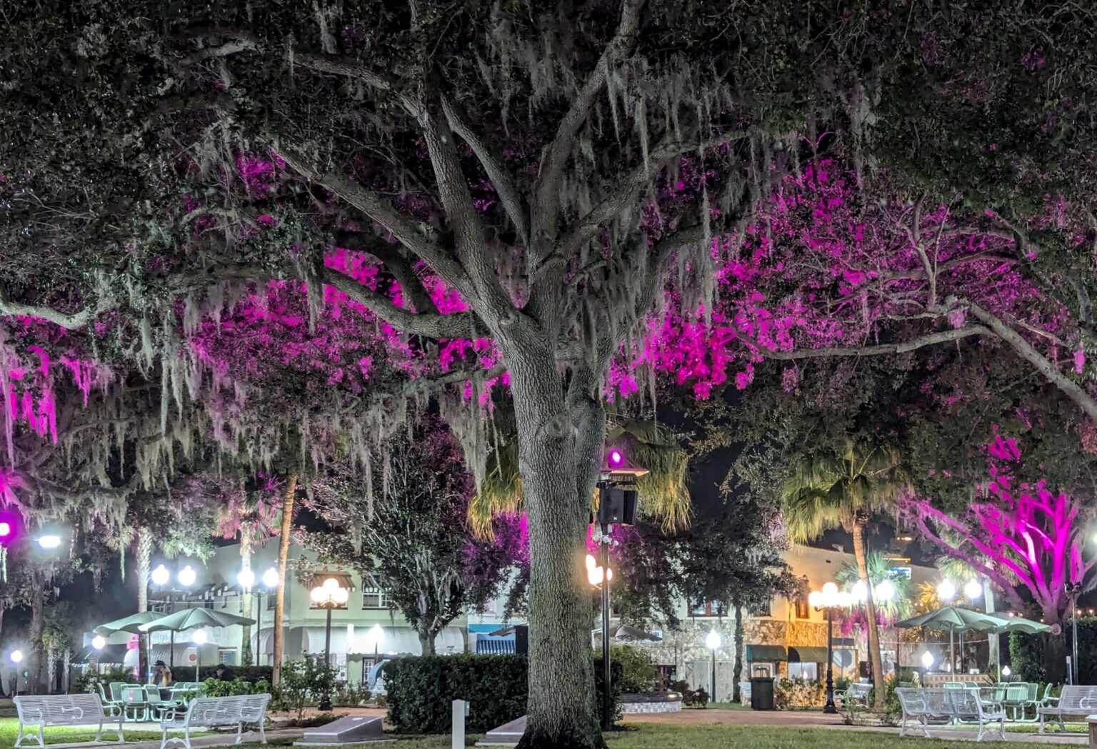 HGTV Home Town Takeover – Comes to Sebring, Florida - eSouthernGolf